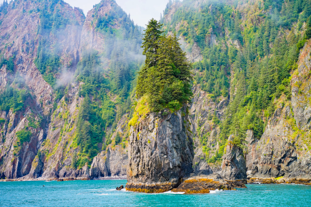 Blog Archives – The Foundation for Photo/Art in Hospitals