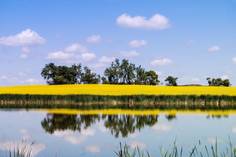 Rev. Erin Gullickson, Contributing Photographer – The Foundation for ...