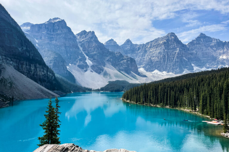 Inspiring Photography from The Foundation for Photo Art in Hospitals Blog