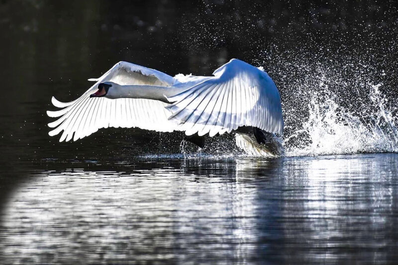 Inspiring Photography from The Foundation for Photo Art in Hospitals Blog