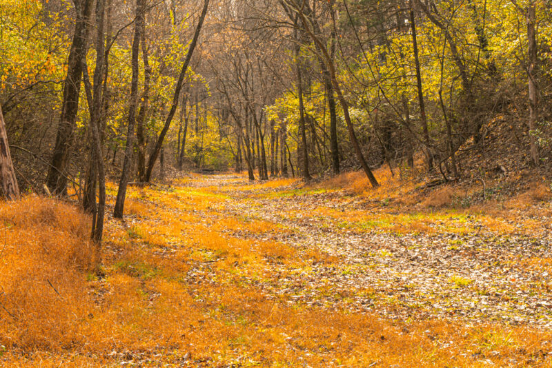 Inspiring Photography from The Foundation for Photo Art in Hospitals Blog