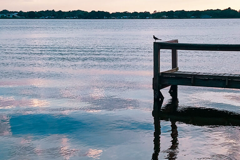 Healing Hospital Art – The Foundation for Photo/Art in Hospitals